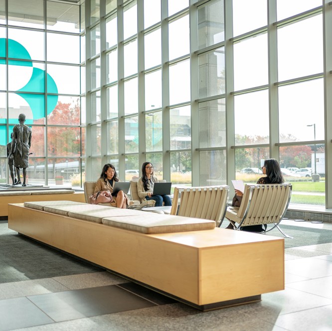 Newsroom - MSD Australia